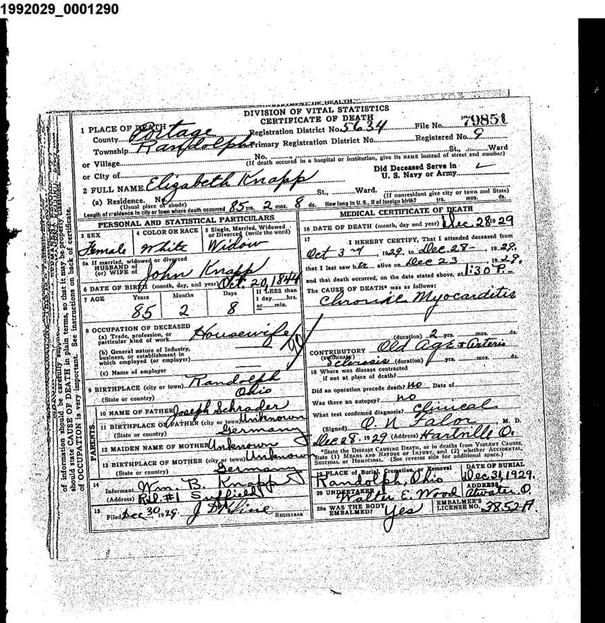 SCHRADER_KNAPP_Elizabeth | Knapp Notes